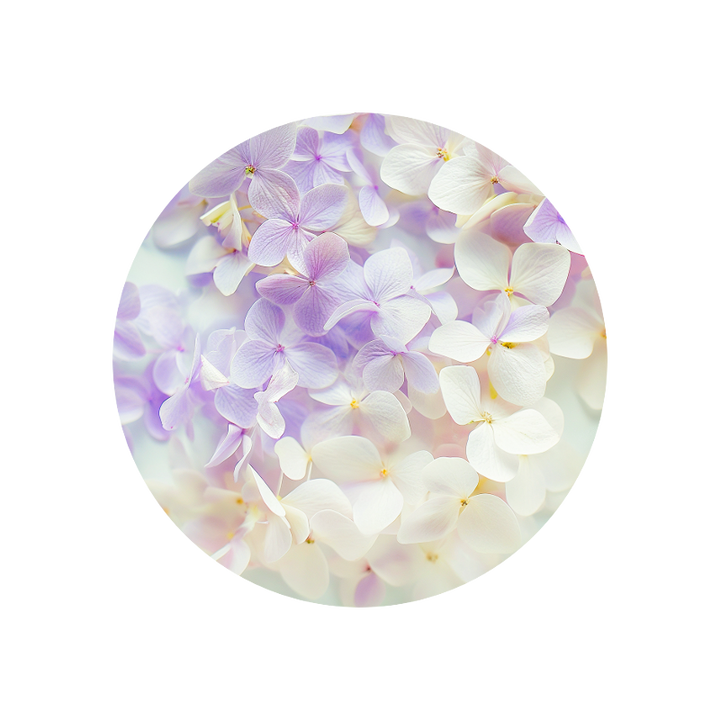 Produkty – perfumiarz.pl