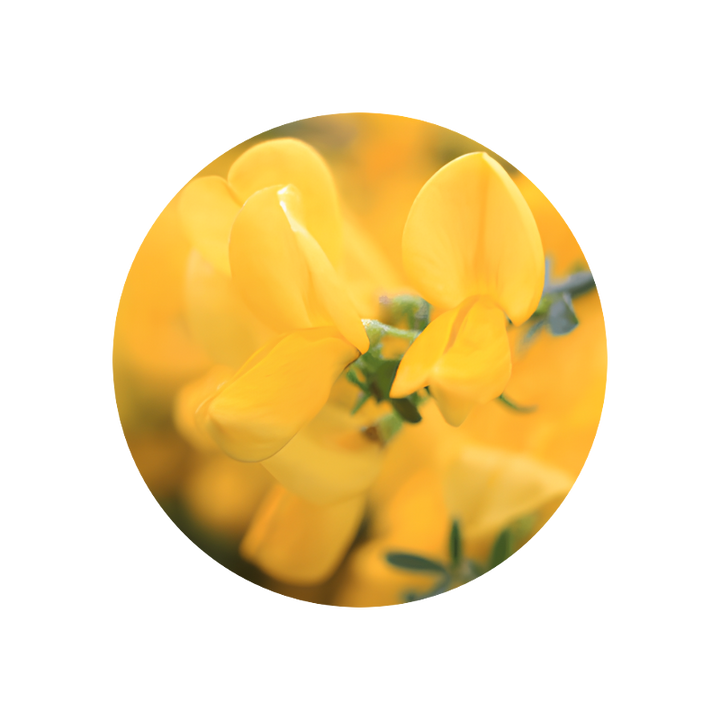 Produkty – perfumiarz.pl